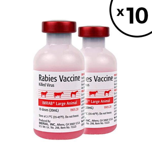Rabies Vaccine - 10pc - WordPress